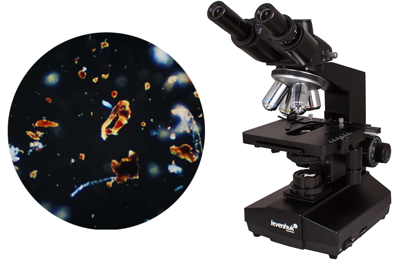 Microscopes – Levenhuk’s official website in Europe
