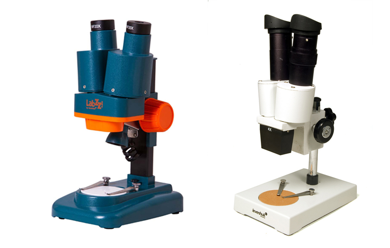 Microscopes – Levenhuk’s official website in Europe