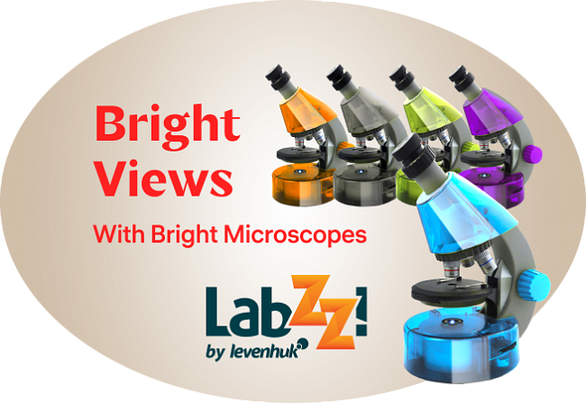 Buy microscope – Levenhuk’s official website in Europe